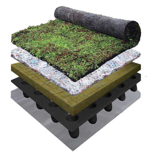 GreenRoofs - Lightweight Sedum Living Roof System - Walls of Plants