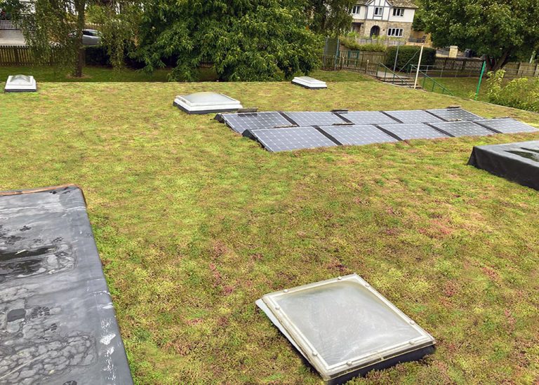 GreenRoofs - Lightweight Sedum Living Roof System - Walls of Plants