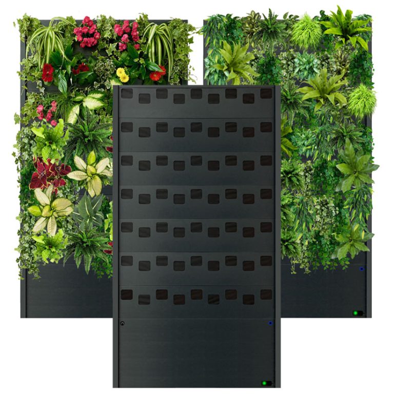 SlimWalls 100cm wide ultra slim living plant walls - Walls of Plants