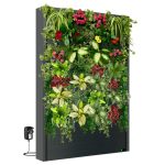 SlimWalls 100cm wide ultra slim living plant walls - Walls of Plants