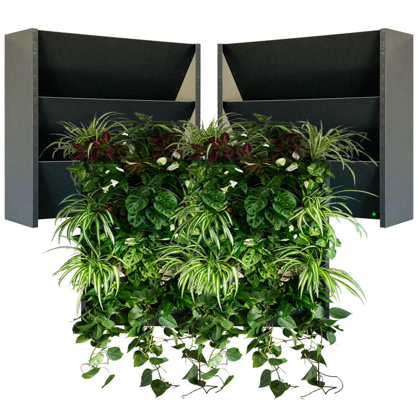Living Walls Outdoor Planters | Indoor Wall Vertical Planter - Wall of ...