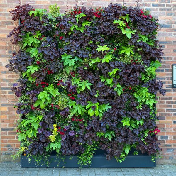 GreenWalls SEMI AUTOMATIC Living Wall Kit - Walls of Plants