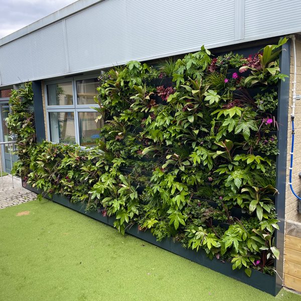 GreenWalls FULLY AUTOMATIC living wall Kit - Walls of Plants