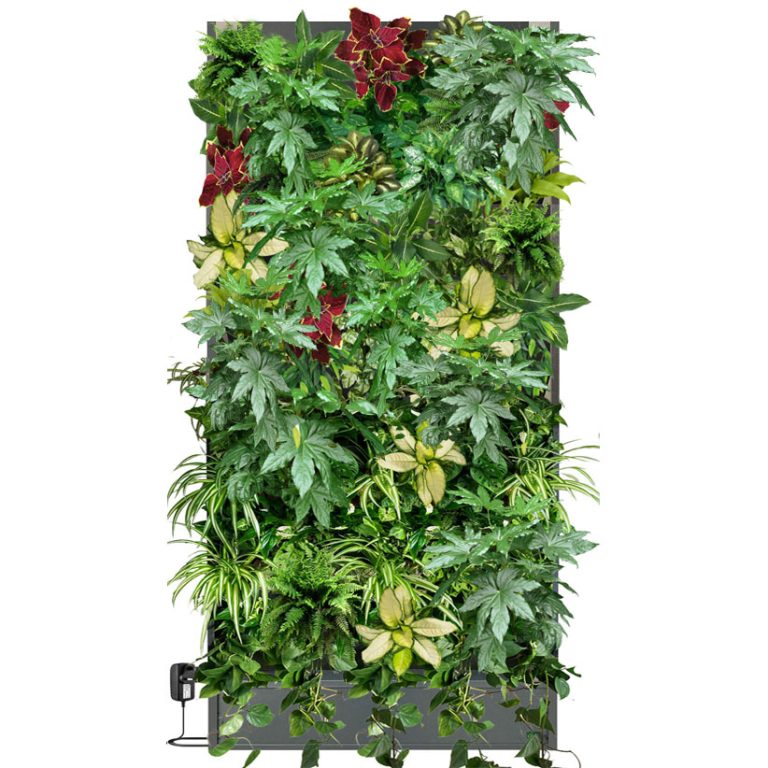 SlimWalls 100cm wide ultra slim living plant walls - Walls of Plants