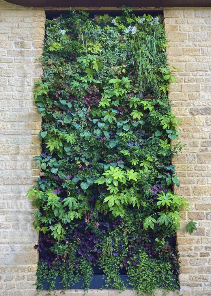 GreenWalls FULLY AUTOMATIC living wall Kit - Walls of Plants
