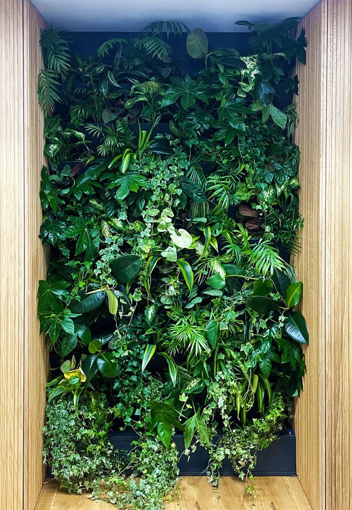 GreenWalls FULLY AUTOMATIC living wall Kit - Walls of Plants