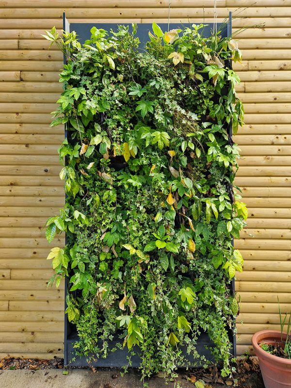 GreenWalls FULLY AUTOMATIC living wall Kit - Walls of Plants