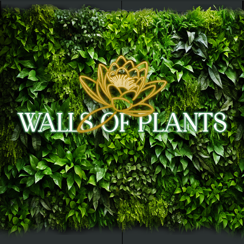 Contact Walls of Plants | Living Walls and Living Roofs
